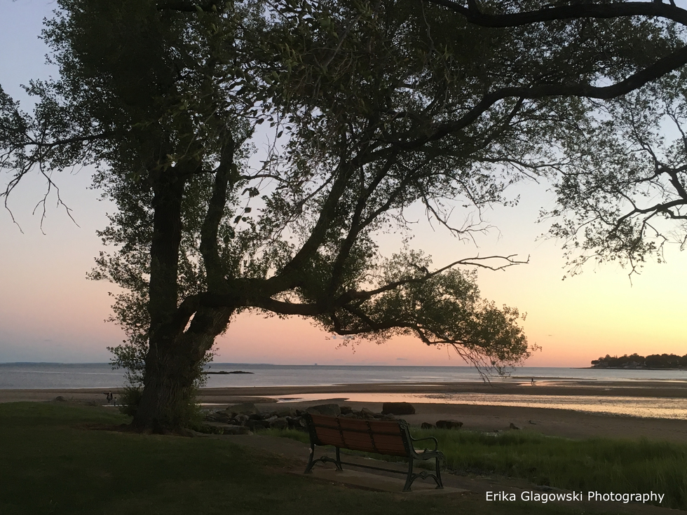 Vote for Summer Sunset in the Park | IMAGES 2018 Juried Photography Show