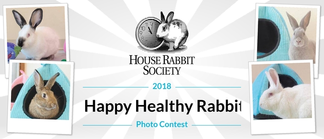 House Rabbit Society | Happy Healthy Rabbit Photo Contest