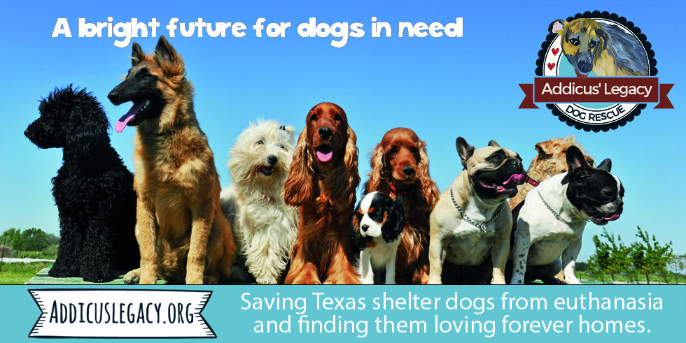 Addicus' Legacy Dog Rescue | Addicus' Legacy Dog Rescue Calendar ...