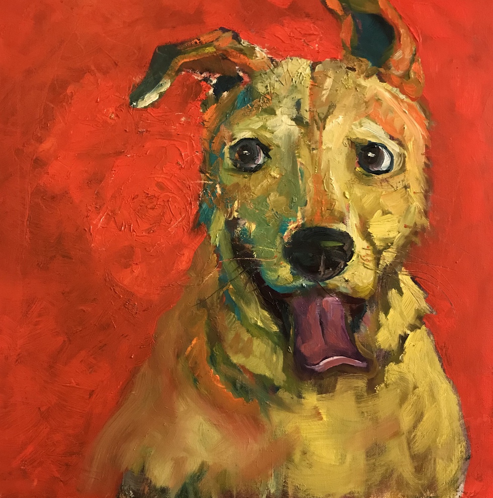 Vote for ROO Thomas | 2019 Spokesdog & Spokescat Contest