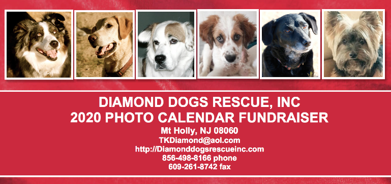 Diamond Dogs Rescue, Inc. | 2020 Photo Calendar Fundraiser
