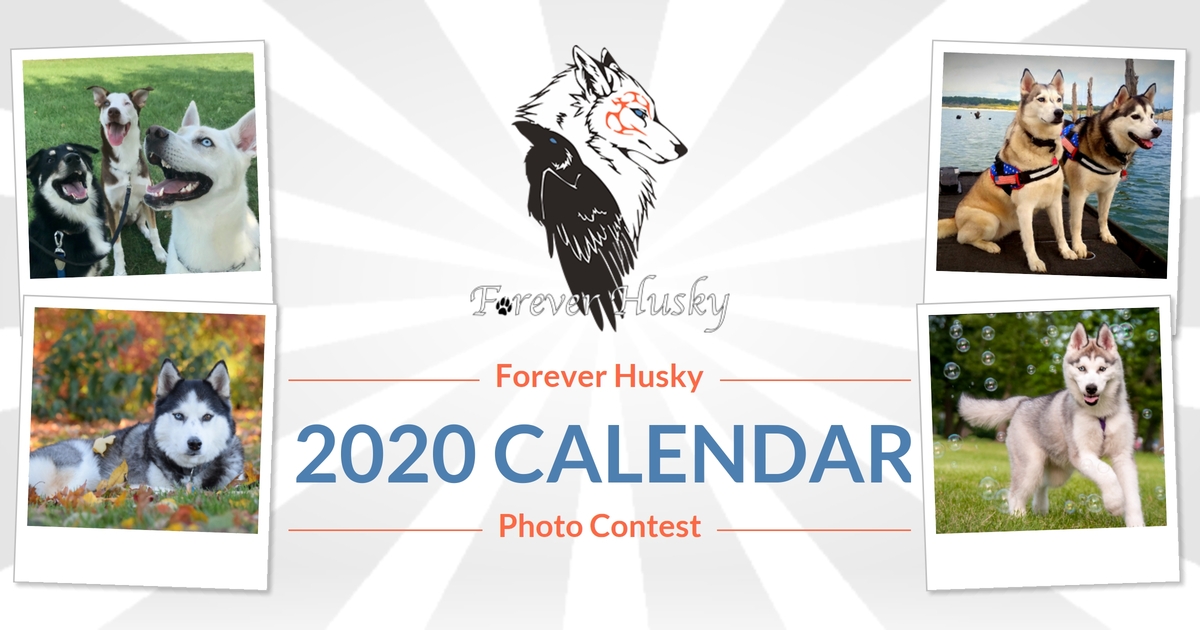 Prizes | Forever Husky | Forever Husky 2020 Calendar Photo Contest