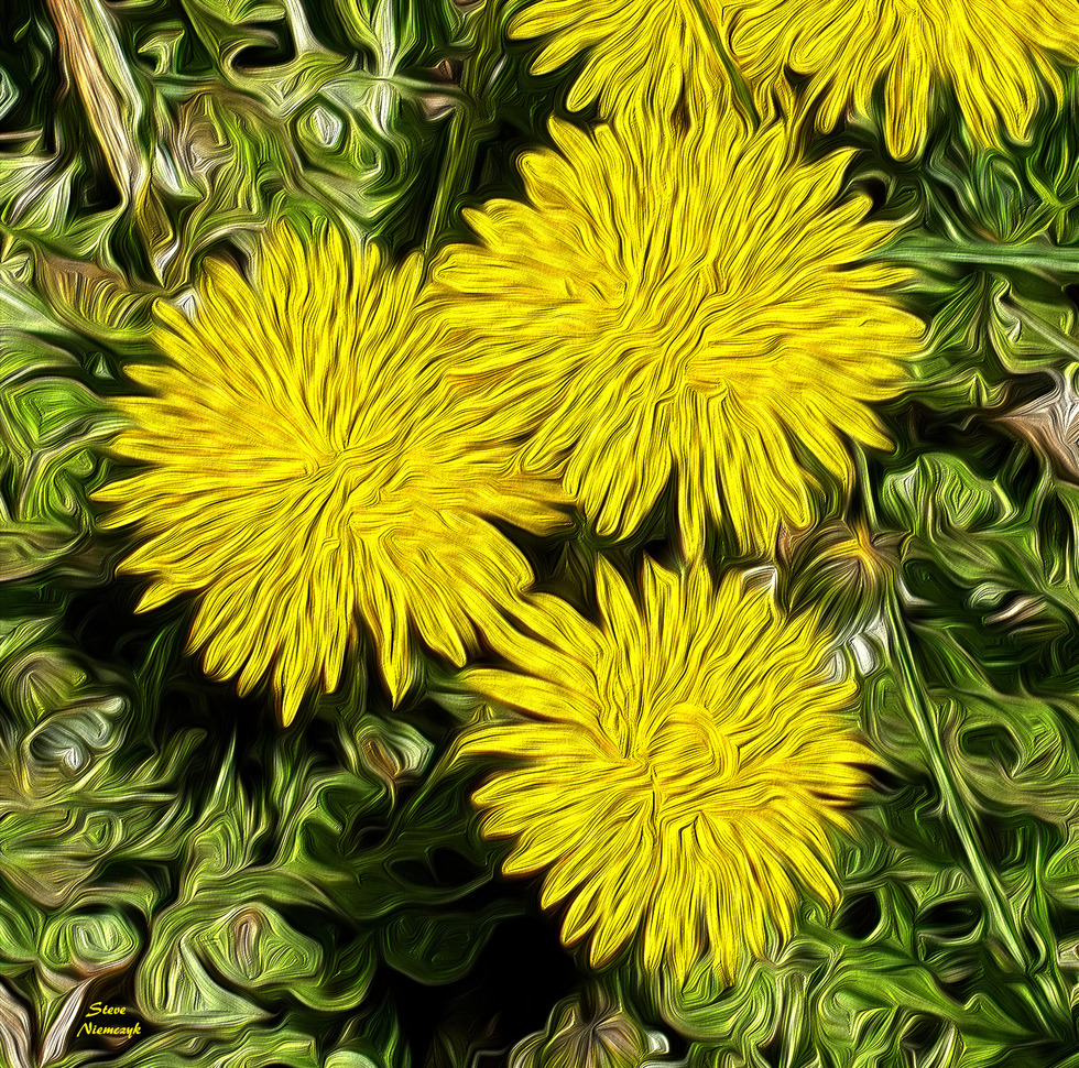 Vote for Dandy Lines | What Matters Most