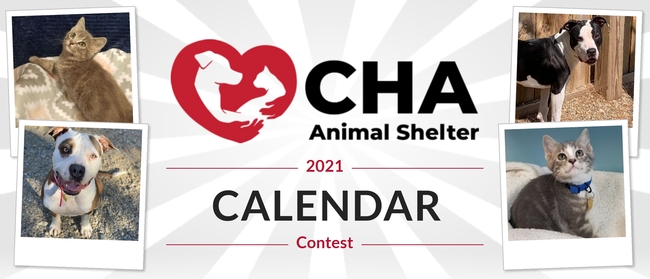 CHA Animal Shelter | CHA Animal Shelter’s 2021 Calendar Contest