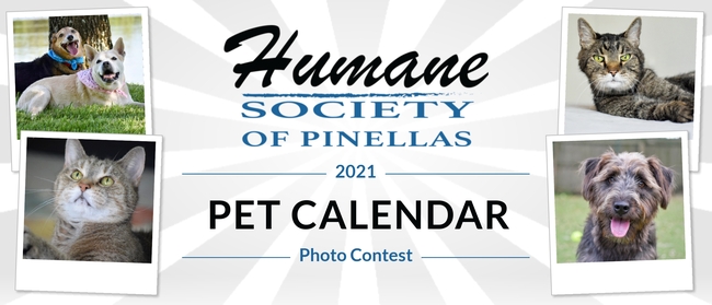 Humane Society of Pinellas | Humane Society of Pinellas 2021 Calendar ...
