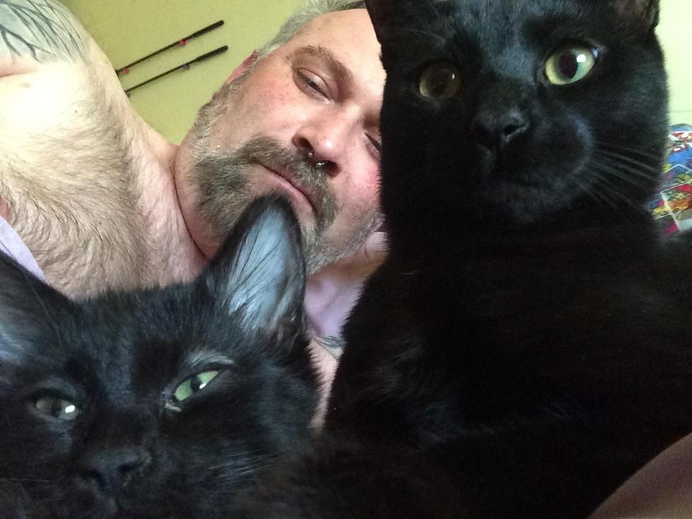 Vote for Hunter & Groot | Cats & Bros