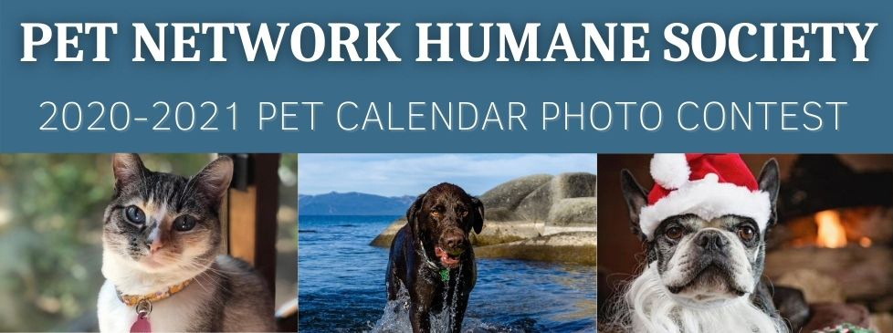 Pet Network Humane Society | Pet Network Humane Society's Pet Calendar ...