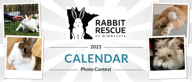 Rabbit Rescue of MN | Rabbit Rescue of MN 2021 Calendar Contest