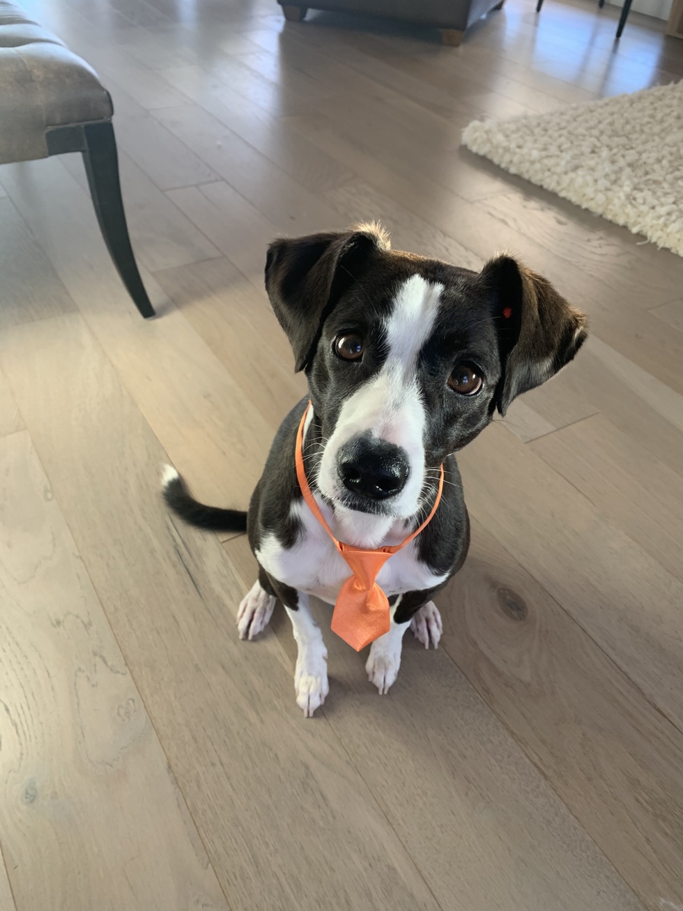 Vote for Dylan | 2022 Photo Fundraiser