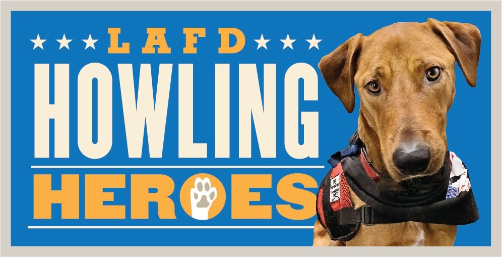Los Angeles Fire Department Foundation | Howling Heroes LAFD Mascot Contest