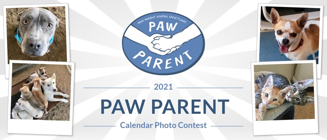 Paw Parent | Paw Parent Calendar Photo Contest