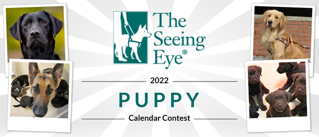 The Seeing Eye | The Seeing Eye 2022 Puppy Calendar Contest