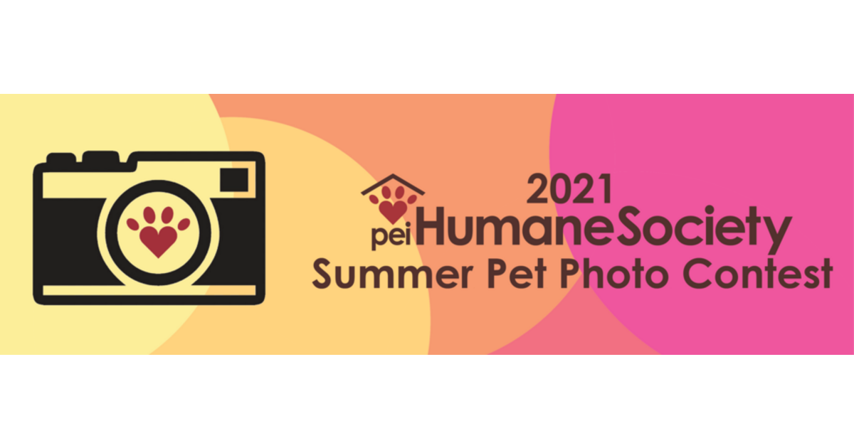 PEI Humane Society | PEI Humane Society Summer Pet Photo Contest!