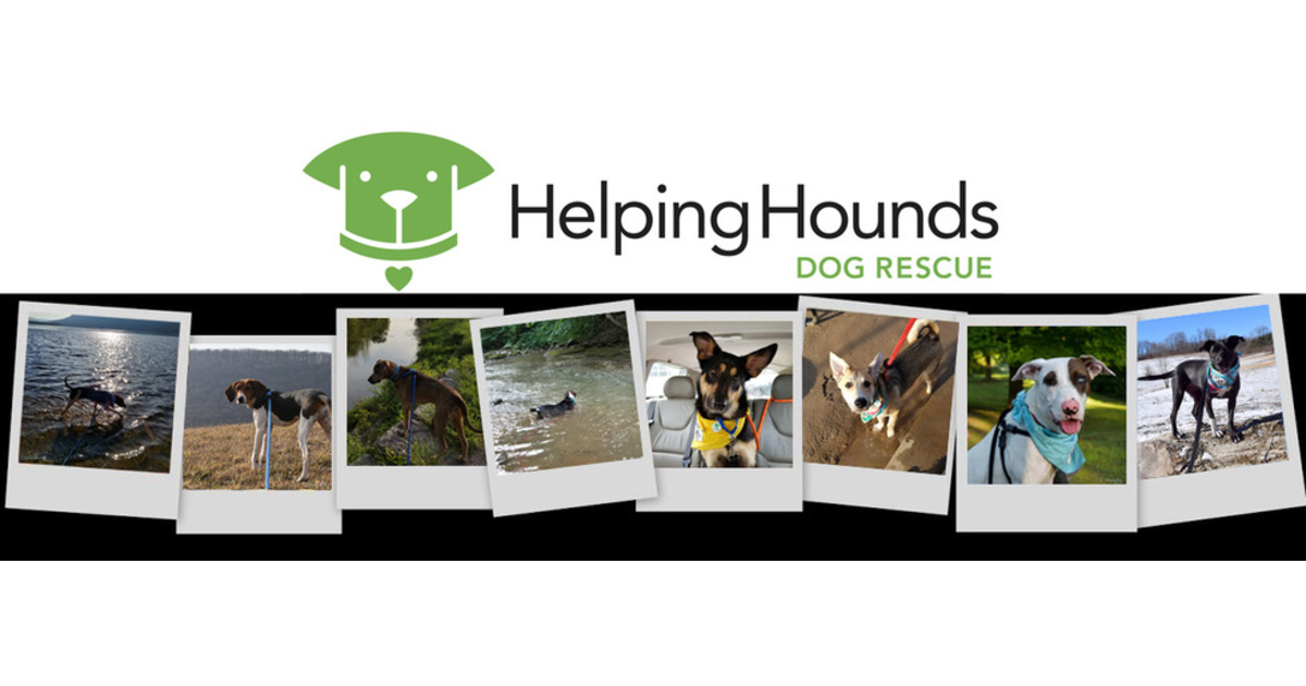 Helping Hounds Dog Rescue Inc. | Helping Hounds T-Shirt Design Contest