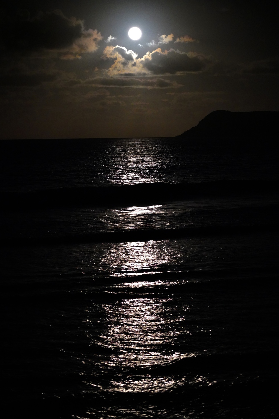 Vote for Risen | IMAGES 2022 Juried Photography Show