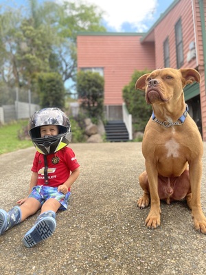 Vote for Bob | RSPCA Pet Photo Contest