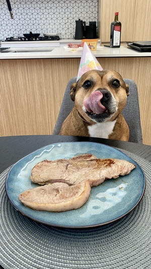 Vote for Girly Girl | RSPCA Pet Photo Contest