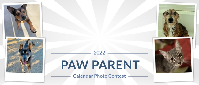 Paw Parent | Paw Parent Calendar Photo Contest