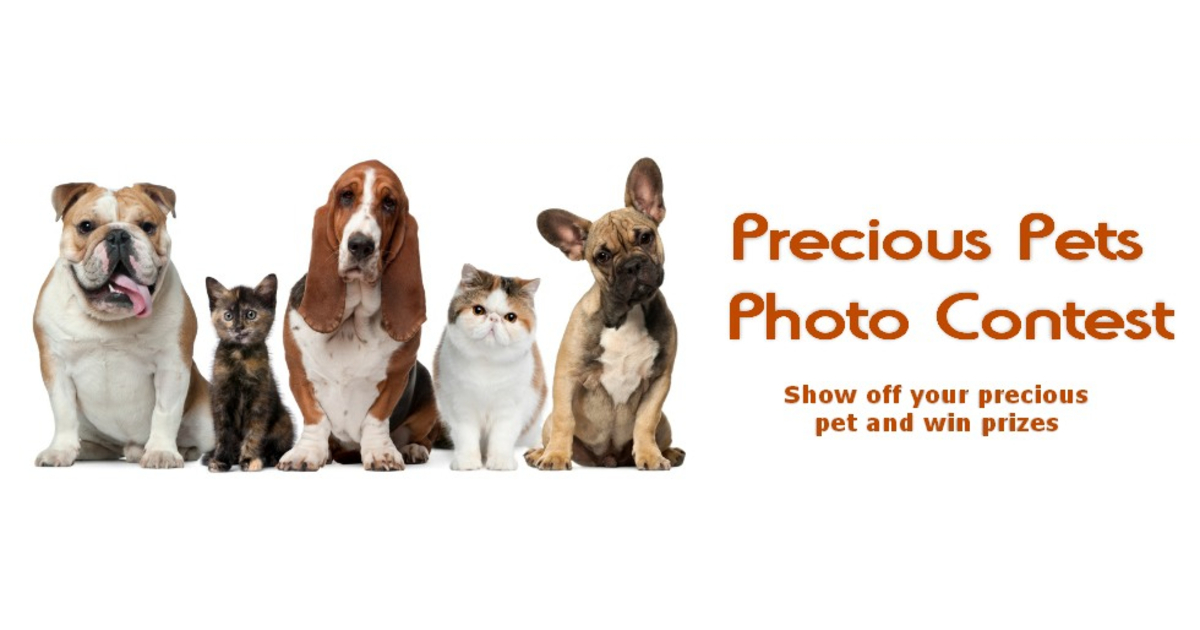 Operation Paw Time, Inc | Precious Pet Photo Contest