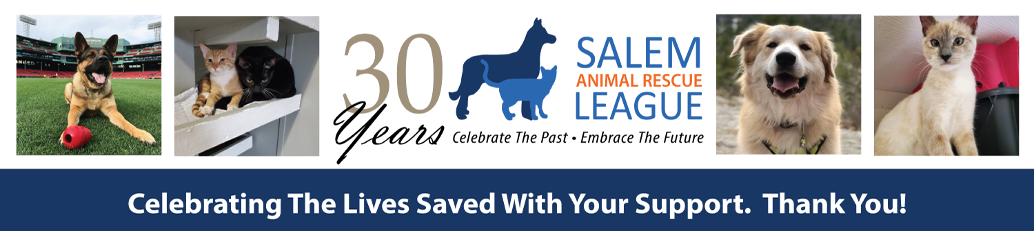 SALEM ANIMAL RESCUE LEAGUE | SARL'S Pet Calendar Photo Contest