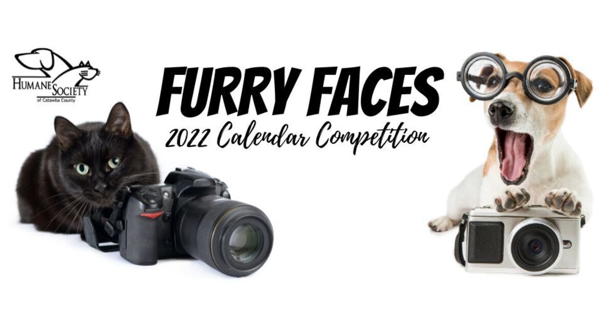 Rules | Humane Society of Catawba County | Furry Faces 2022 Calendar ...
