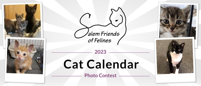 Salem Friends of Felines | Salem Friends of Felines 2023 Cat Calendar ...