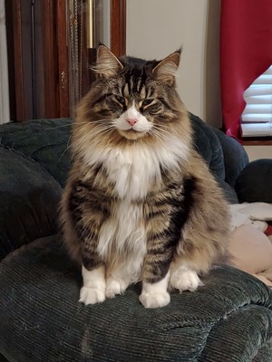 Vote for Wally | 2023 ECMCR Calendar Contest