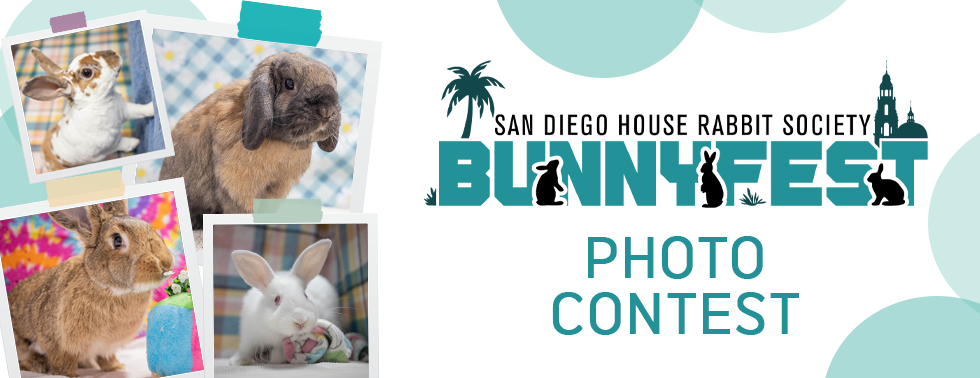 San Diego House Rabbit Society | Bunnyfest 2022 Photo Contest