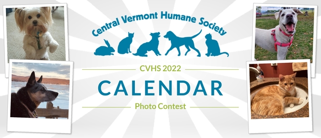Central Vermont Humane Society | CVHS 2022 Calendar Photo Contest