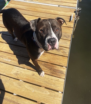 Vote for Saylor | CVHS 2022 Calendar Photo Contest