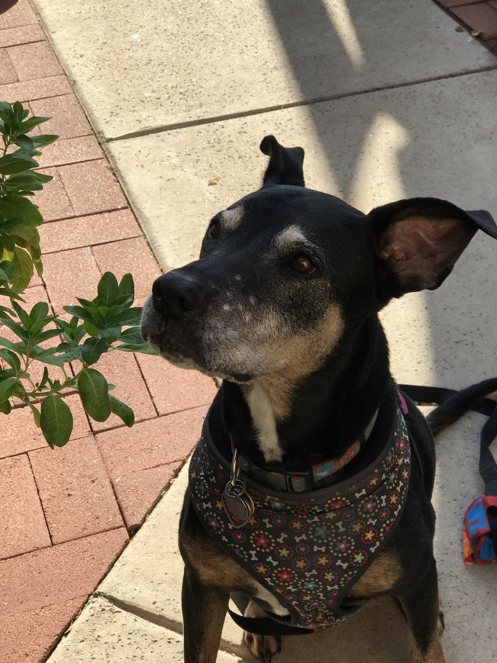 Vote for Hannah | CVHS 2022 Calendar Photo Contest