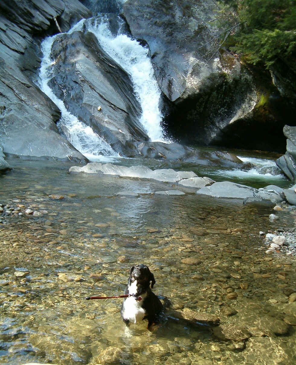 Vote for Cole | CVHS 2022 Calendar Photo Contest