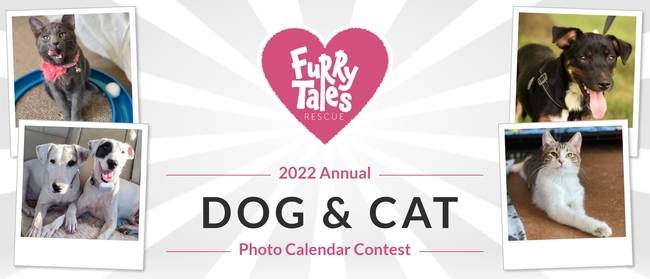 Rules | Furry Tales Animal Rescue | Furry Tales Animal Rescue 2022 ...