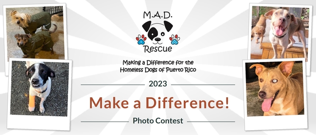 MAD RESCUE OF WNY | Make a Difference 2023 Photo Calendar Contest!