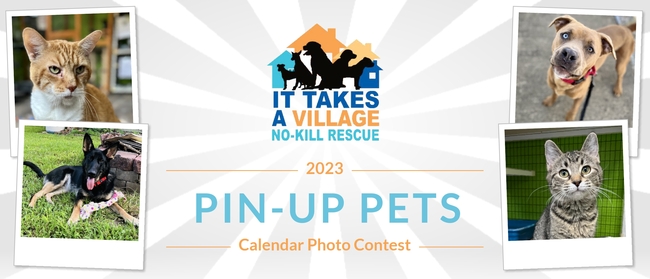 Prizes | It Takes A Village Canine Rescue, Inc. | 2023 Pin-Up Pets ...