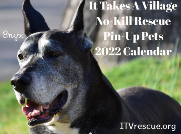Prizes | It Takes A Village Canine Rescue, Inc. | 2023 Pin-Up Pets ...