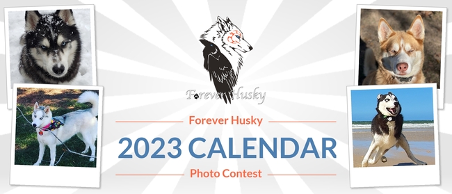 Forever Husky | Forever Husky 2023 Calendar Photo Contest
