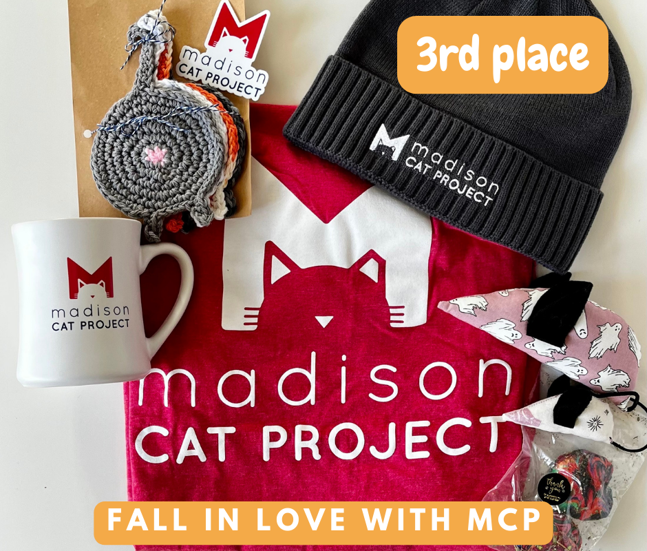 Madison Cat Project | Cat Costume Contest 2022