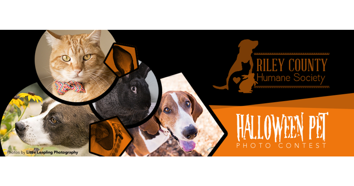 Riley County Humane Society | Riley County Humane Society Halloween Pet ...