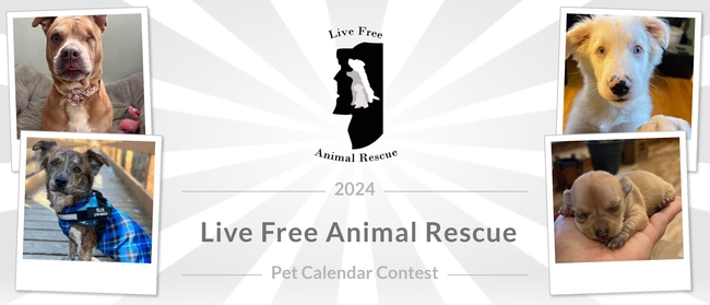 Rules | Live Free Animal Rescue | 2024 Live Free Animal Rescue Pet ...