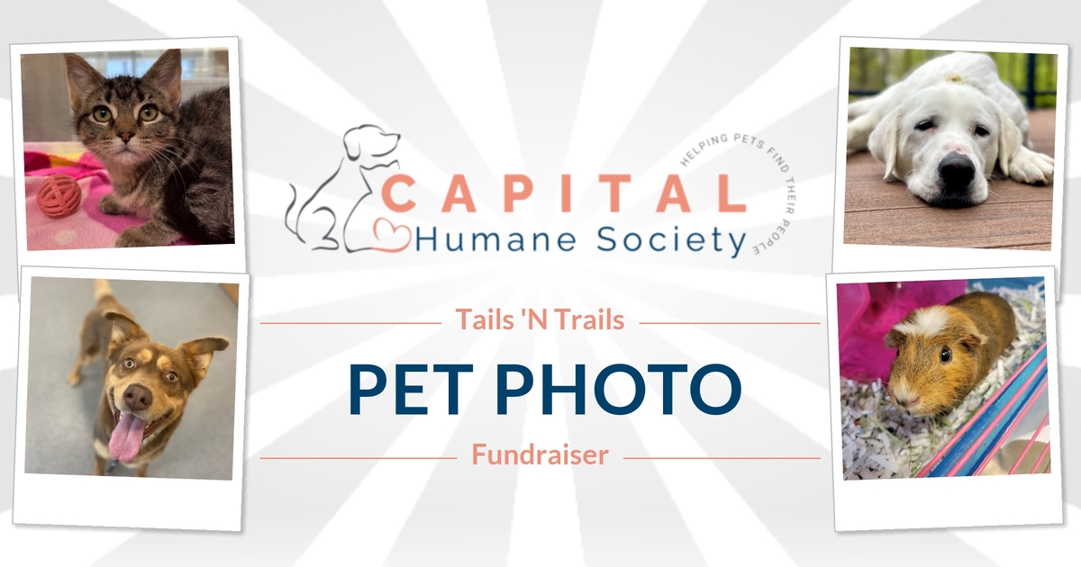 Capital Humane Society | Tails & Trails Pet Photo Contest