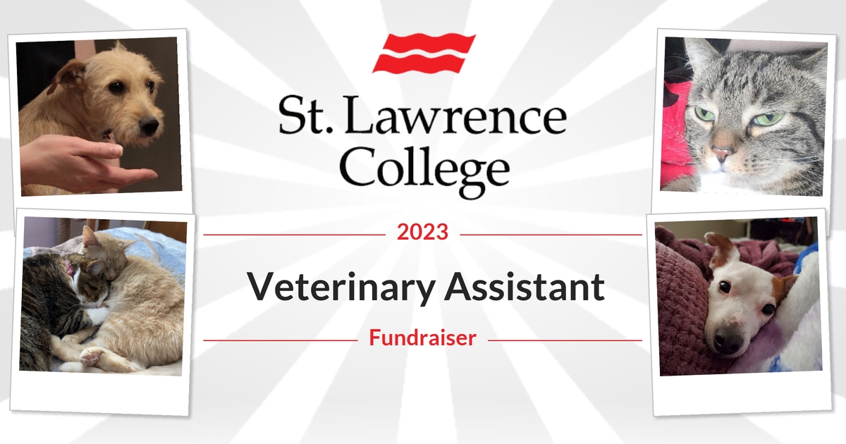 St Lawrence College | SLC Veterinary Assistant Fundraiser