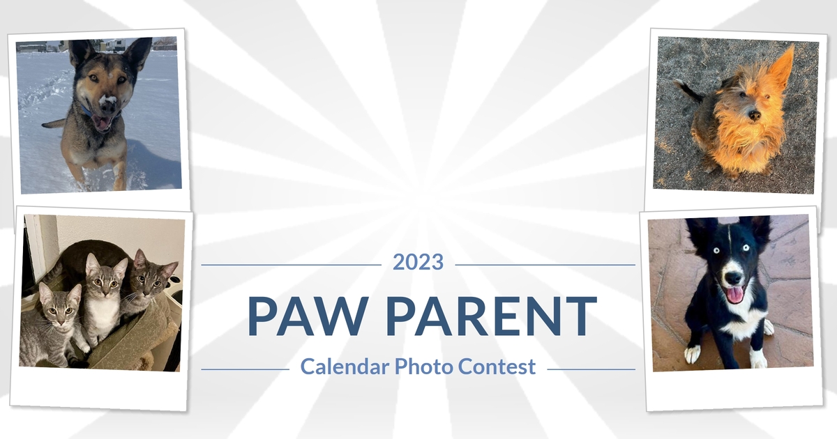Rules | Paw Parent | Paw Parent Calendar Photo Contest