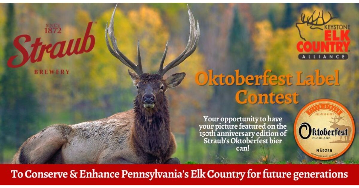 About Us | Keystone Elk Country Alliance | KECA's 2023 Straub ...