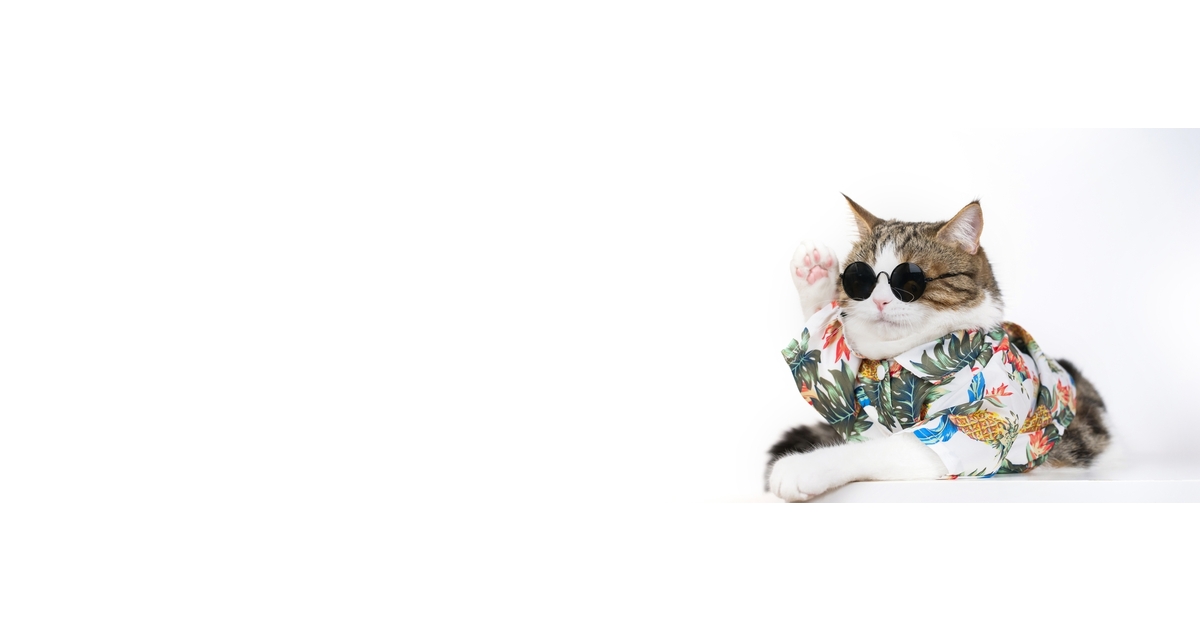 About Us | Cats Anonymous, Inc. | Cats Anonymous Trap Fashion Contest