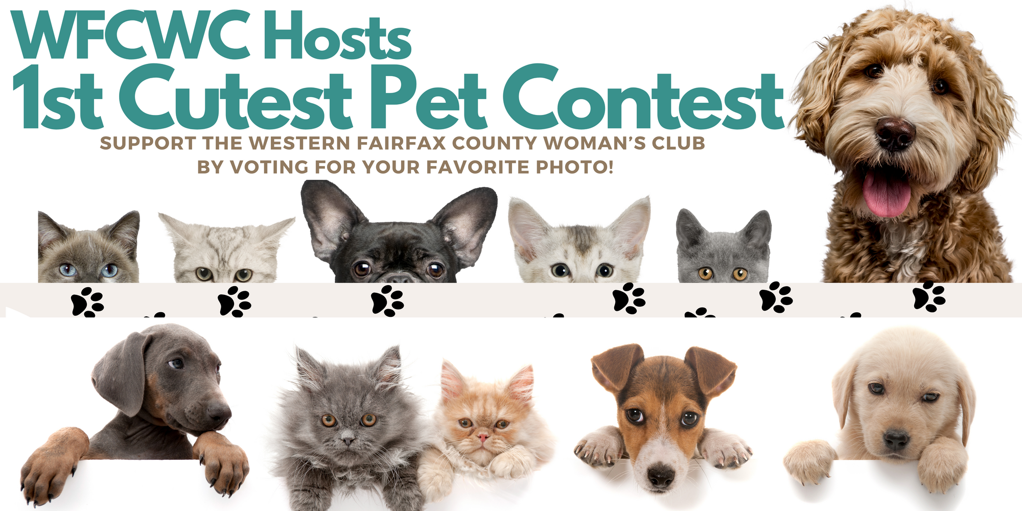 Western Fairfax County Woman's Club | WFCWC Cutest Pet Contest