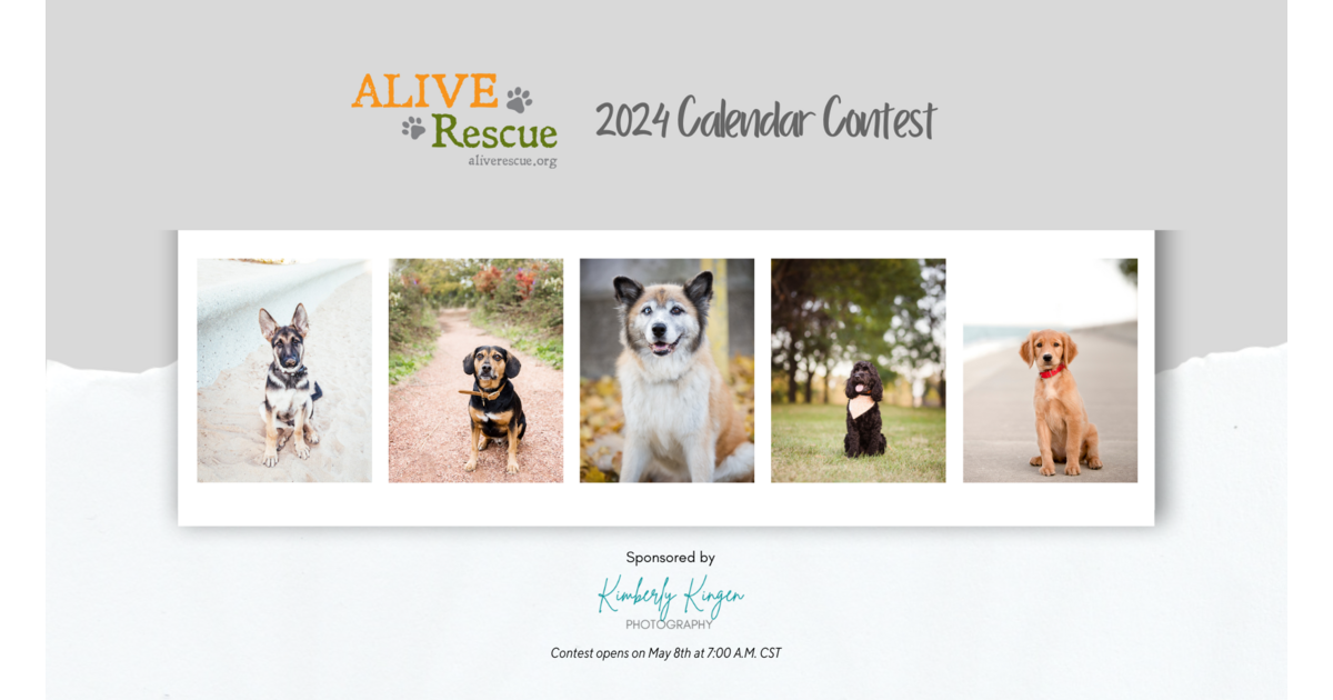 Kimberly Kingen Photography | 2024 Alive Rescue Pet Calendar Contest