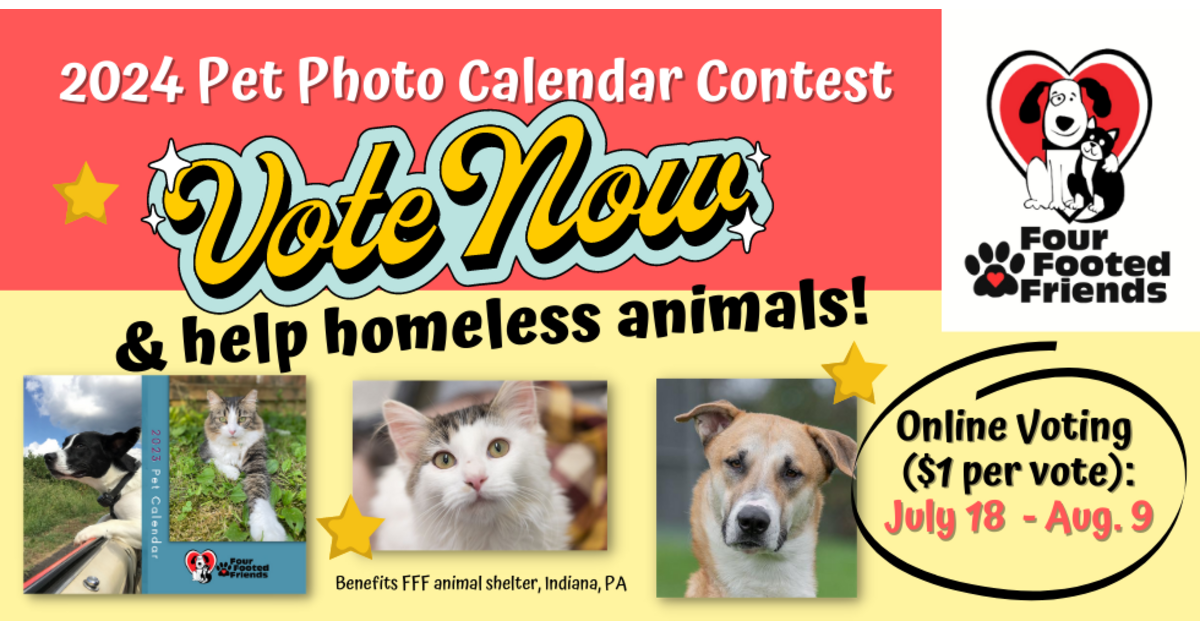 Rules | Four Footed Friends | Four Footed Friends 2024 Pet Photo ...