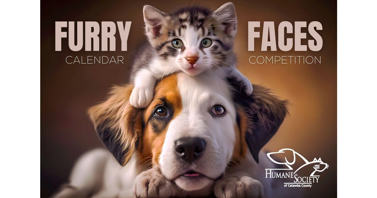 About | Humane Society of Catawba County | Furry Faces 2024 Calendar ...