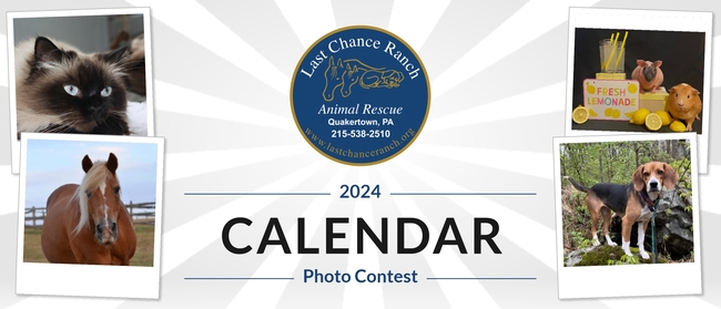 Last Chance Ranch | Last Chance Ranch 2024 Calendar
